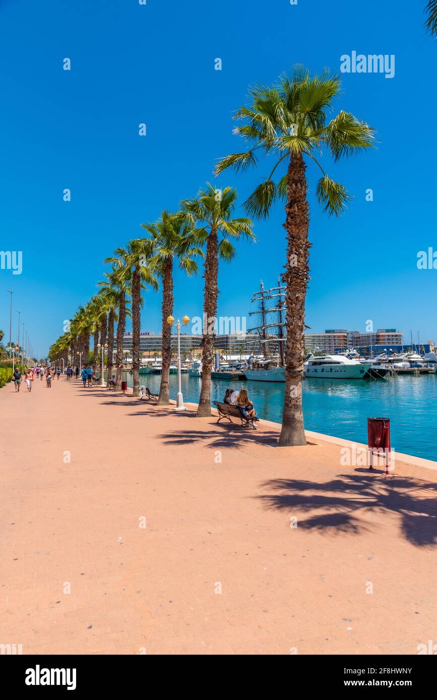 Seaside promenade in the port of Alicante, Spain Stock Photo - Alamy