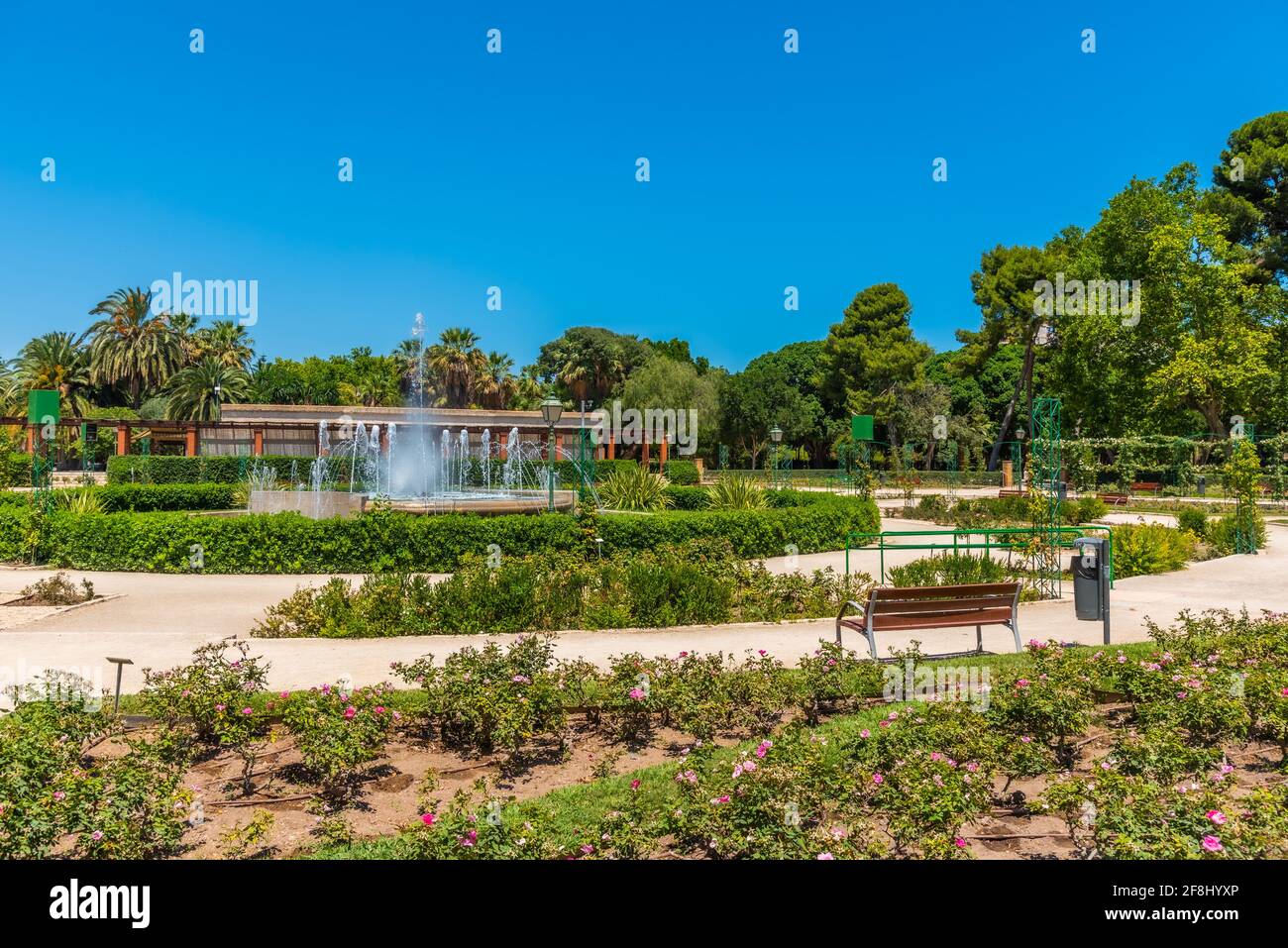 Rose garden at Royal gardens in Spanish city Valencia Stock Photo - Alamy