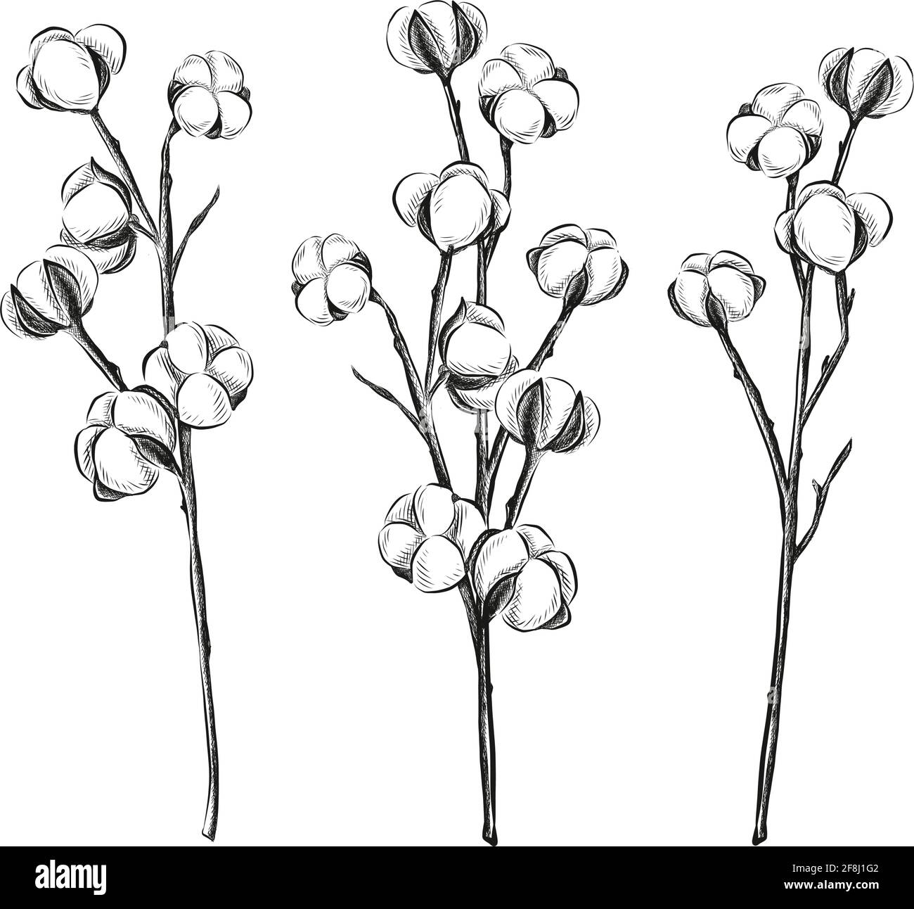 Ink outlines Stock Vector Images - Alamy