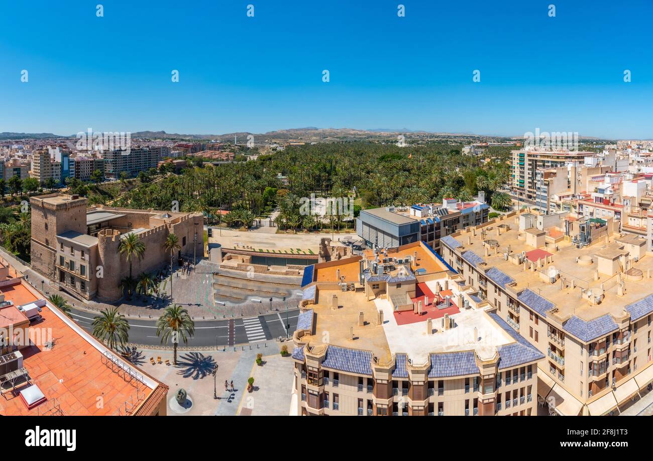 Parc municipal el palmeral elche hi-res stock photography and images ...