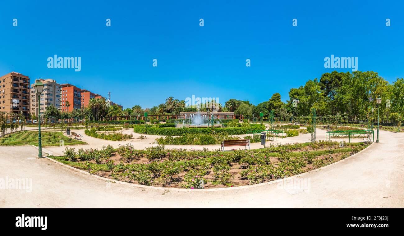 Rose garden at Royal gardens in Spanish city Valencia Stock Photo - Alamy