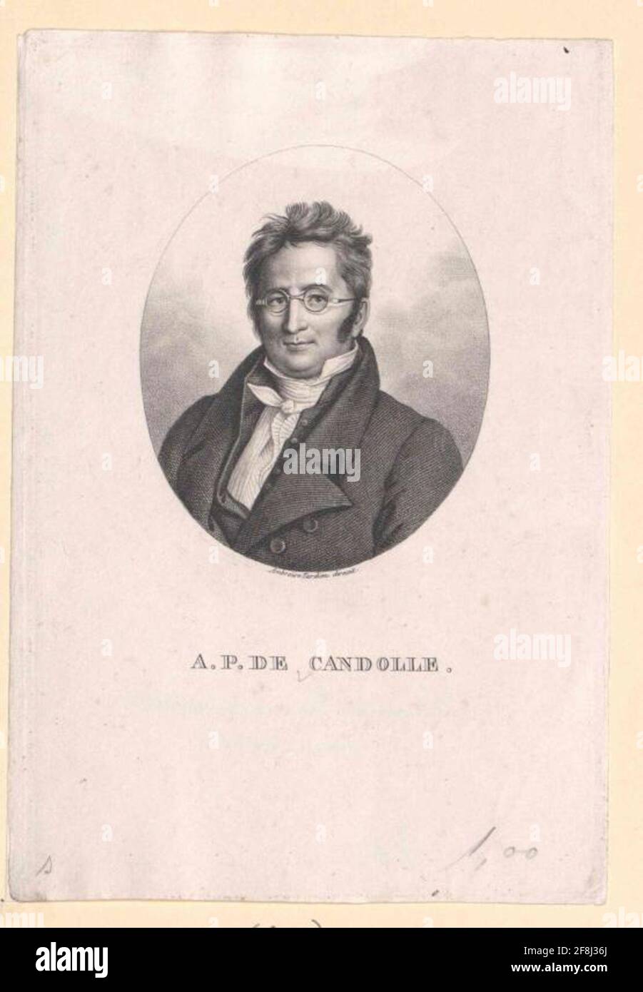 Candolle, Augustin Pyrame de Stock Photo - Alamy