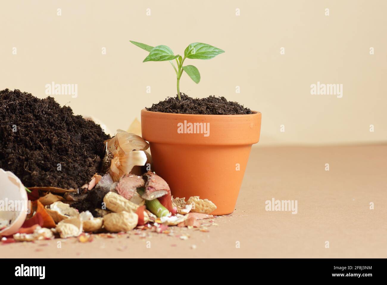Organic waste, heap of biodegradable vegetable compost with decomposed ...
