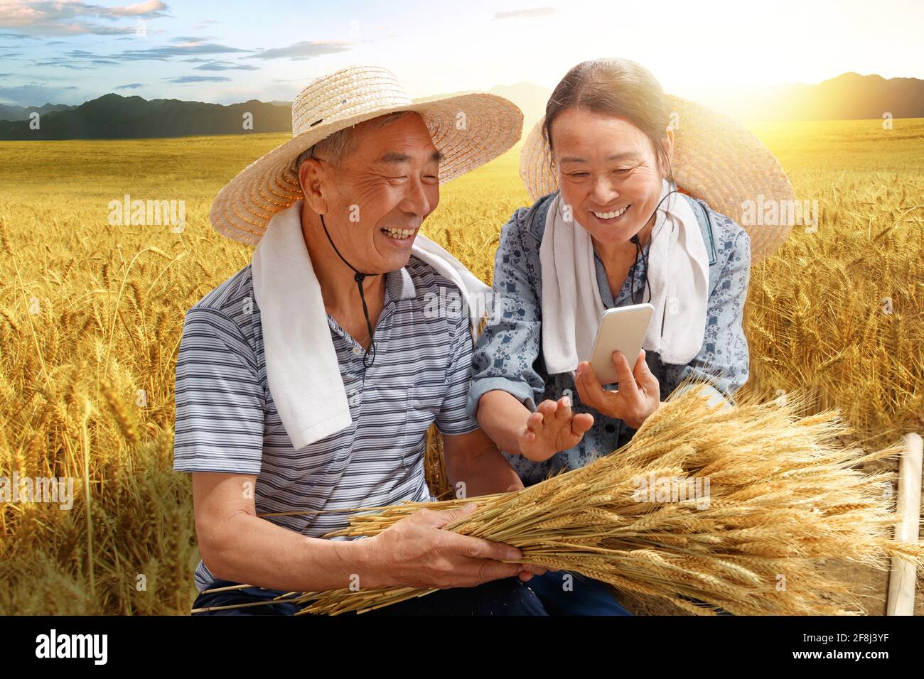 Peasant couple sat in the wheat field with a cell phone video Stock ...