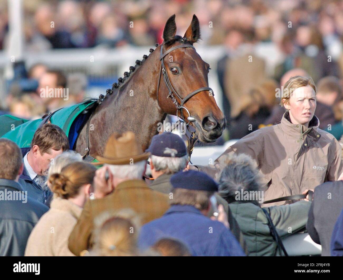 RACING AT EXETER BEST MATE BEFORE HIS LAST RACE 1/11/2005 PICTURE DAVID ...