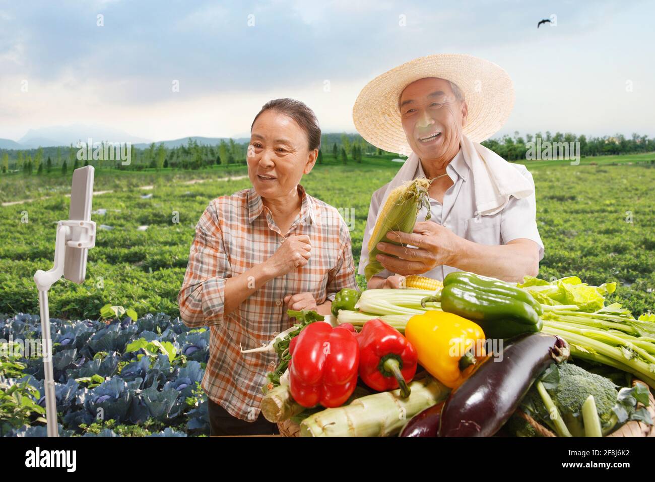Farmers Live Online Sales Of Agricultural Products Stock Photo Alamy farmers-live-online-sales-of-agricultural-products-stock-photo-alamy