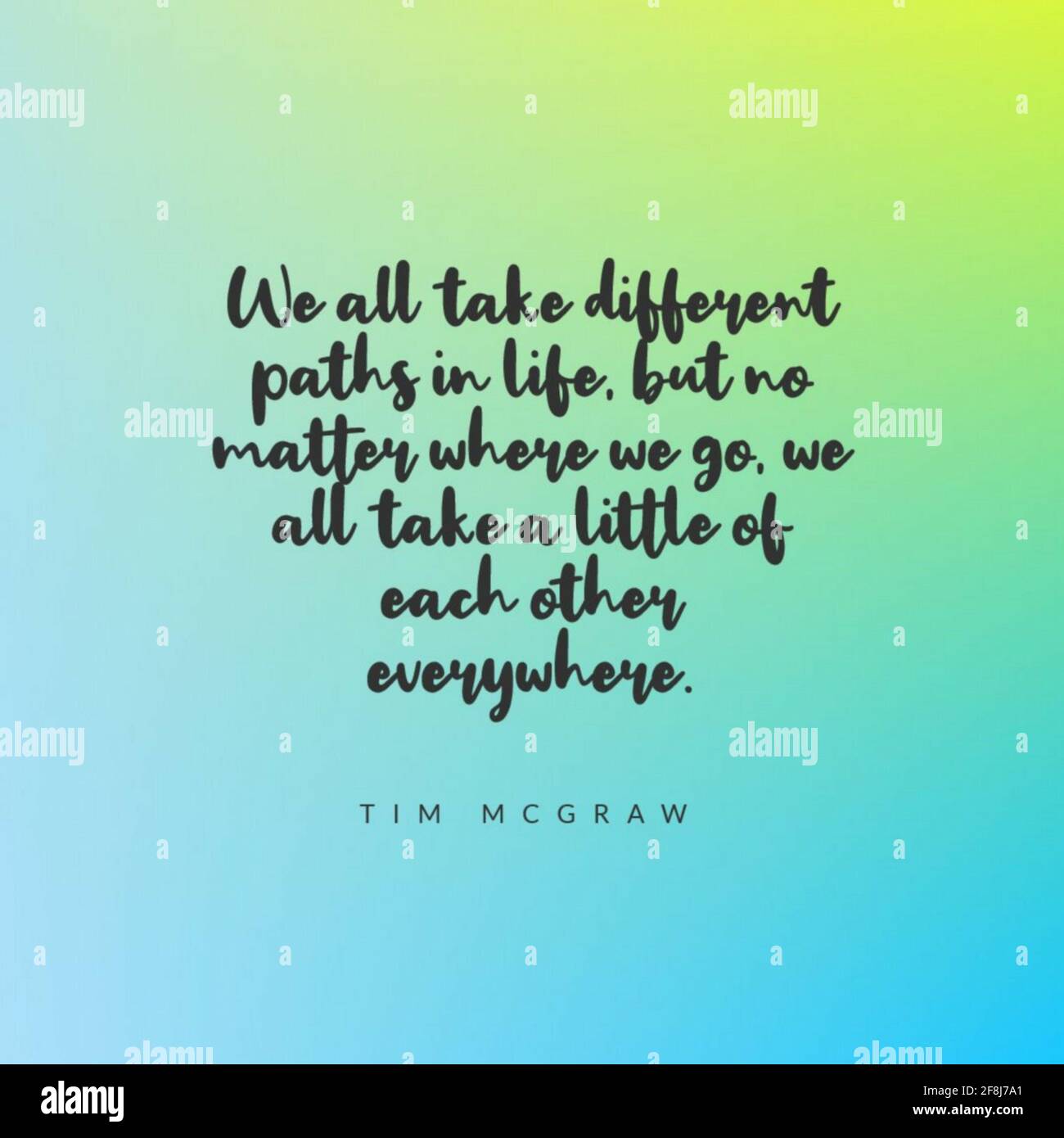 Quote by Tim McGraw "We all take different paths in life Stock Photo ...