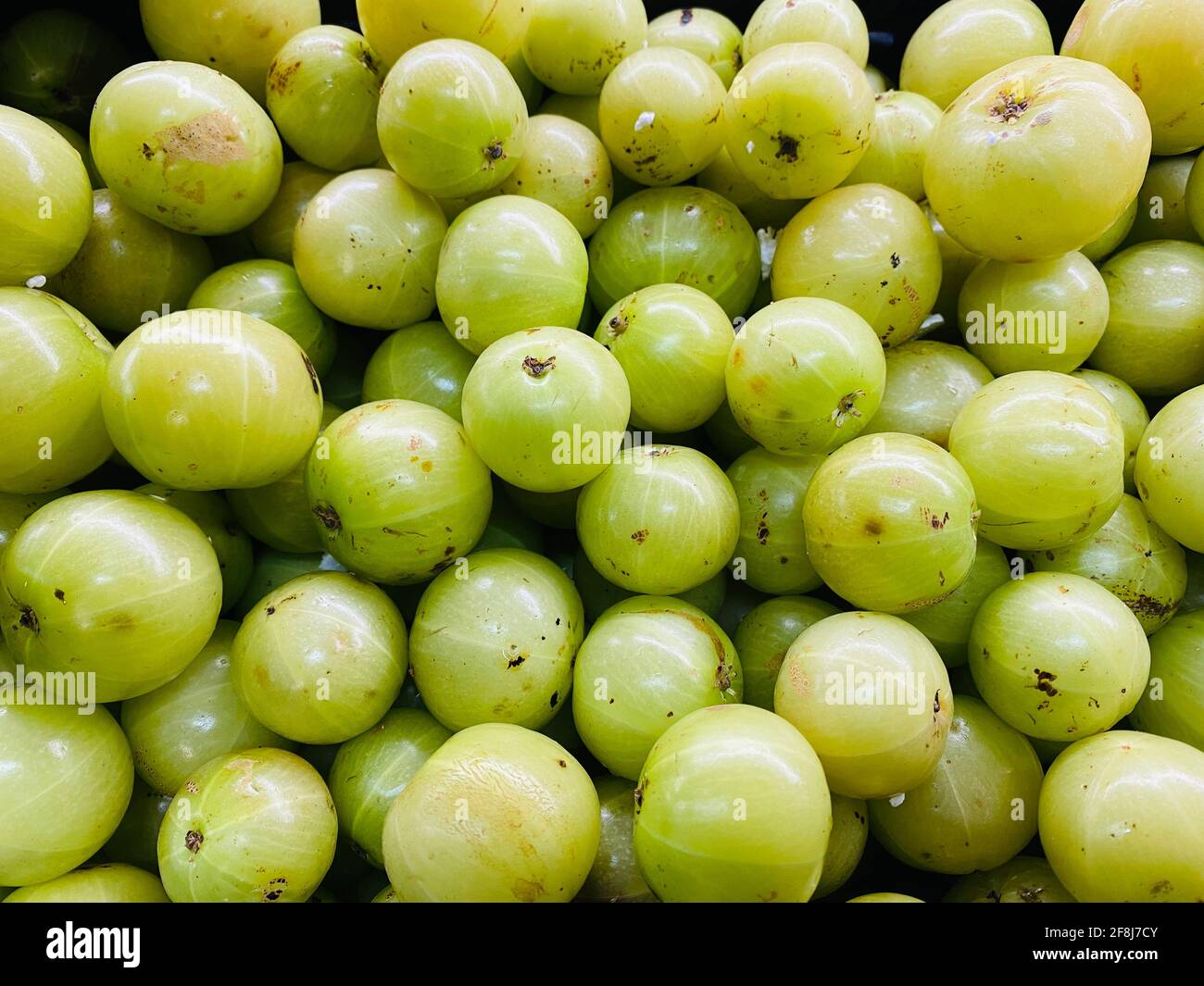 Amla fruit indian gooseberry hi-res stock photography and images - Alamy