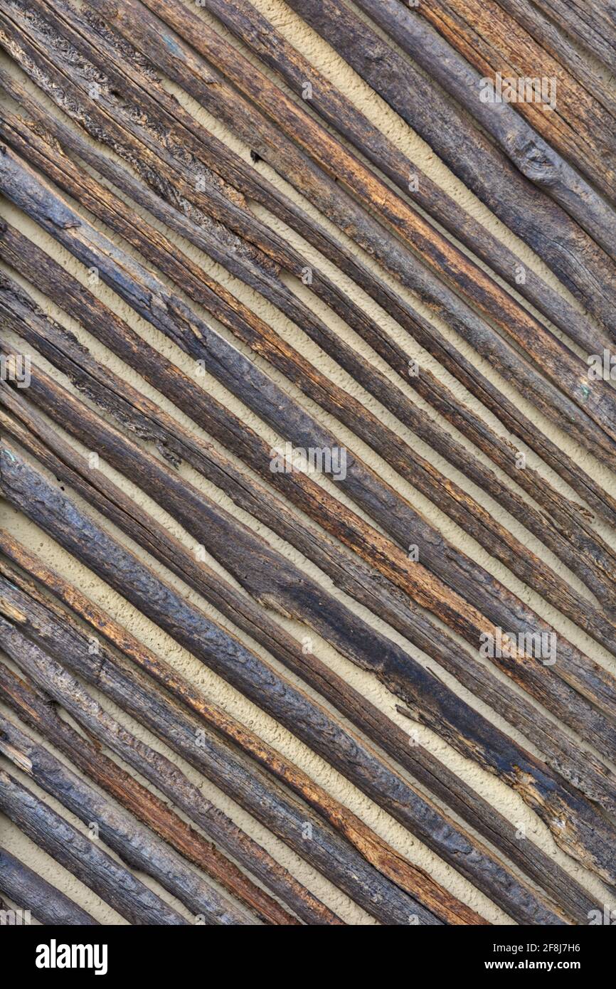 Southwestern stucco wall adorned with natural saguaro cactus ribs in ...