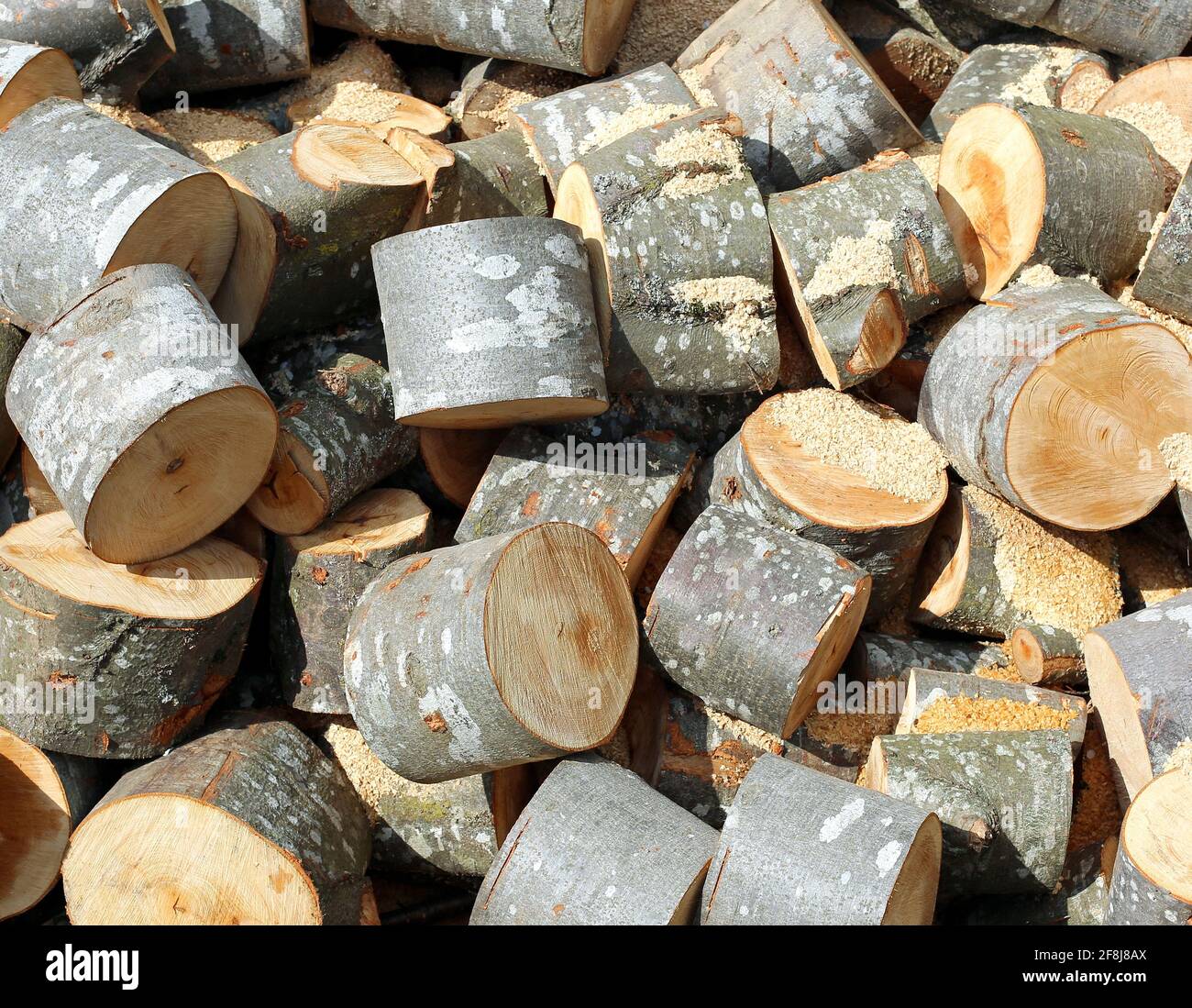 background of heap of big wooden logs and cutted trunks Stock Photo - Alamy