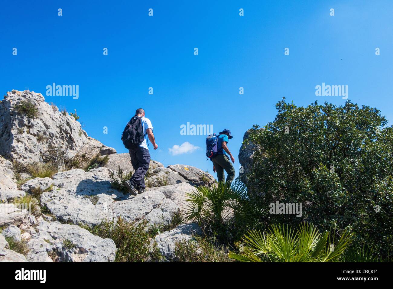 Group of people mountaineer standing atop of rock Stock Photo - Alamy