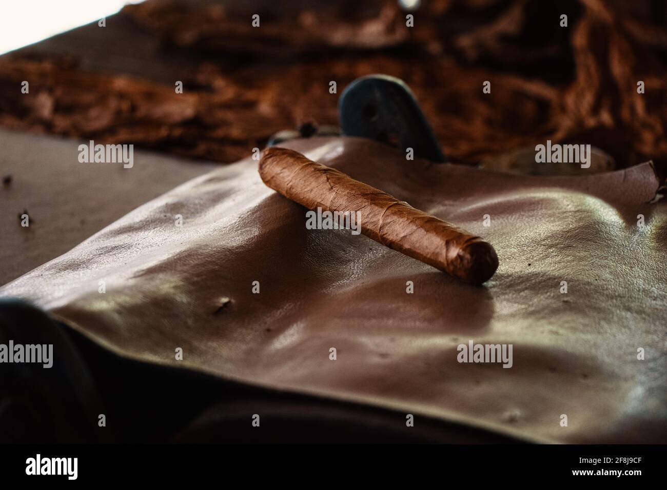 Selfmade sigar with fresh ingredients Stock Photo - Alamy