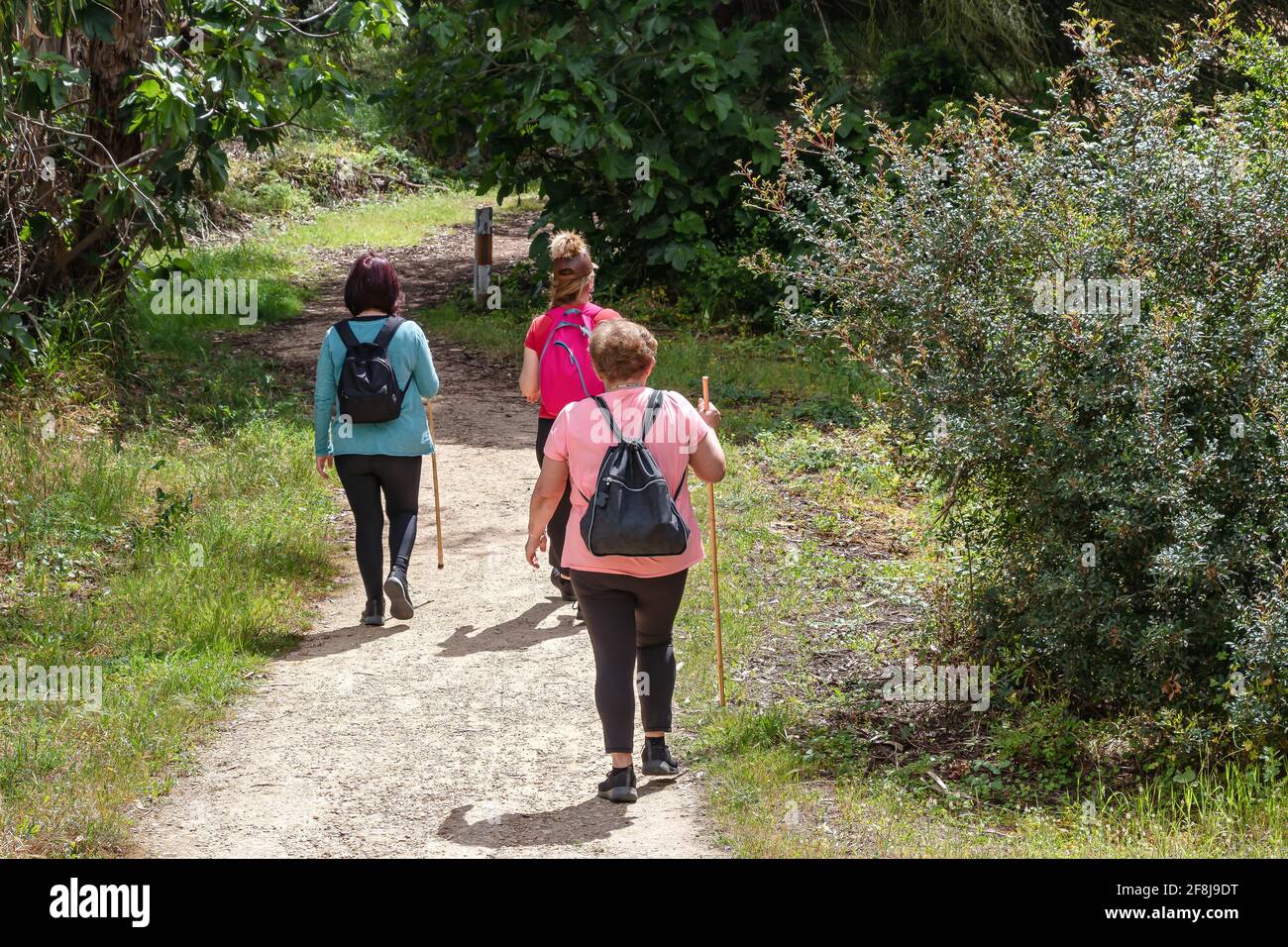 Women walk through park hi-res stock photography and images - Alamy