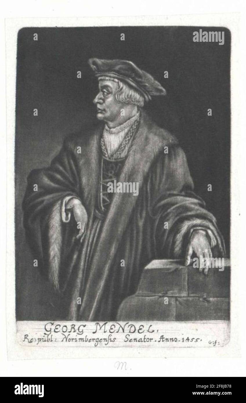 Mendel Cut Out Stock Images & Pictures - Alamy