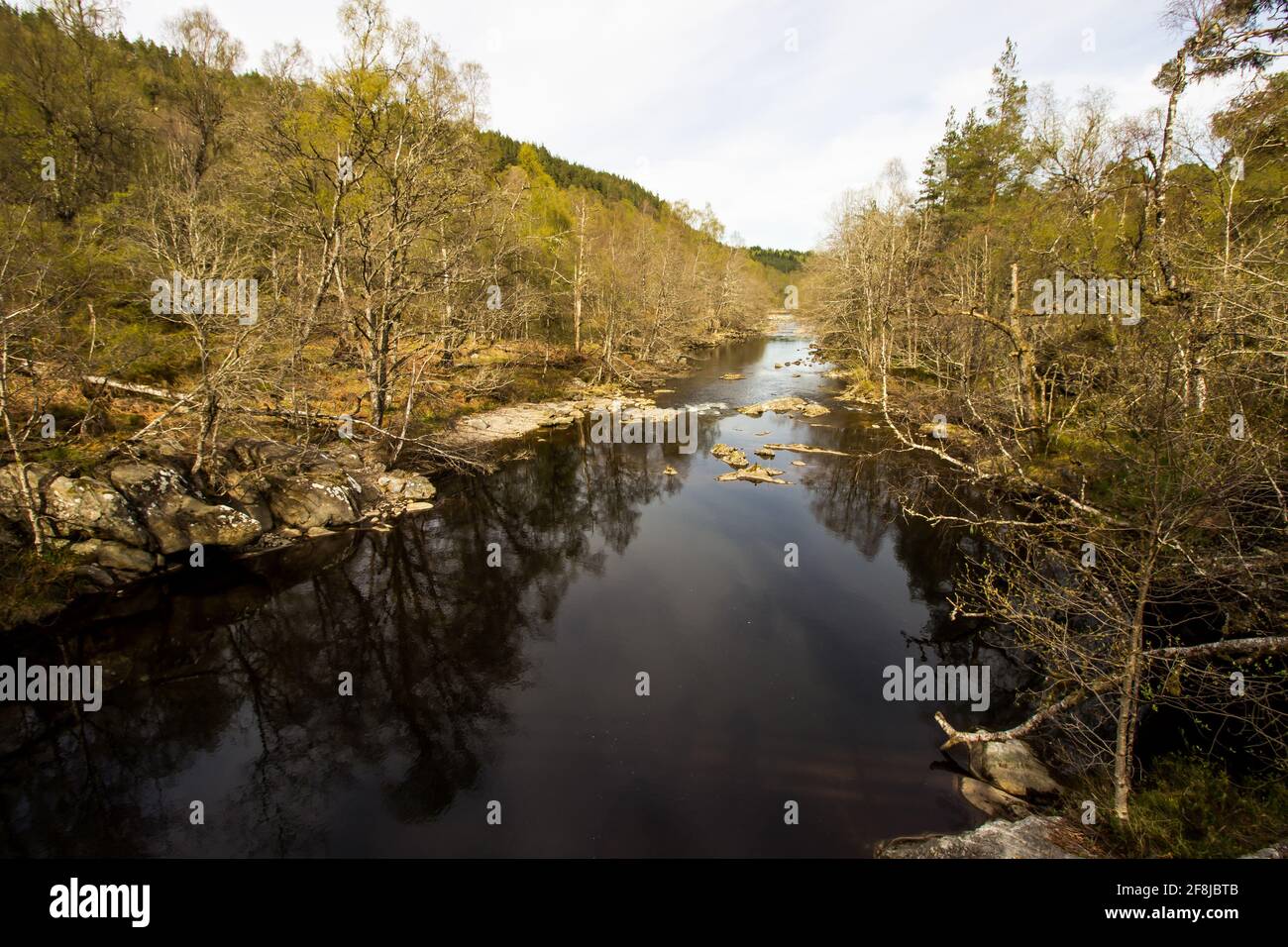 Kintail forest hi-res stock photography and images - Alamy