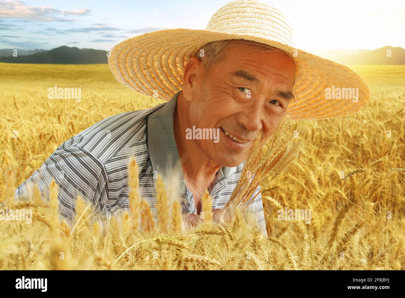 Farmers in view of wheat crop Stock Photo - Alamy