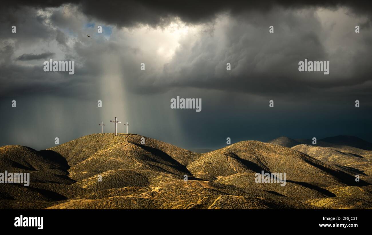 Sunlight beaming down hi-res stock photography and images - Alamy