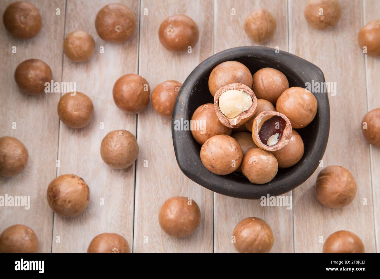 Macadamia nuts - Macadamia integrifolia Stock Photo - Alamy