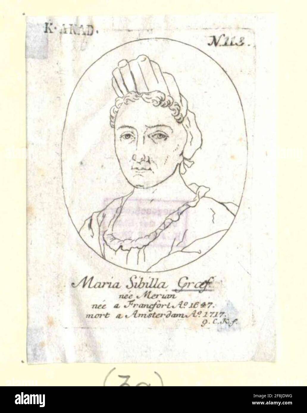 Merian, Maria Sibylla Stock Photo - Alamy