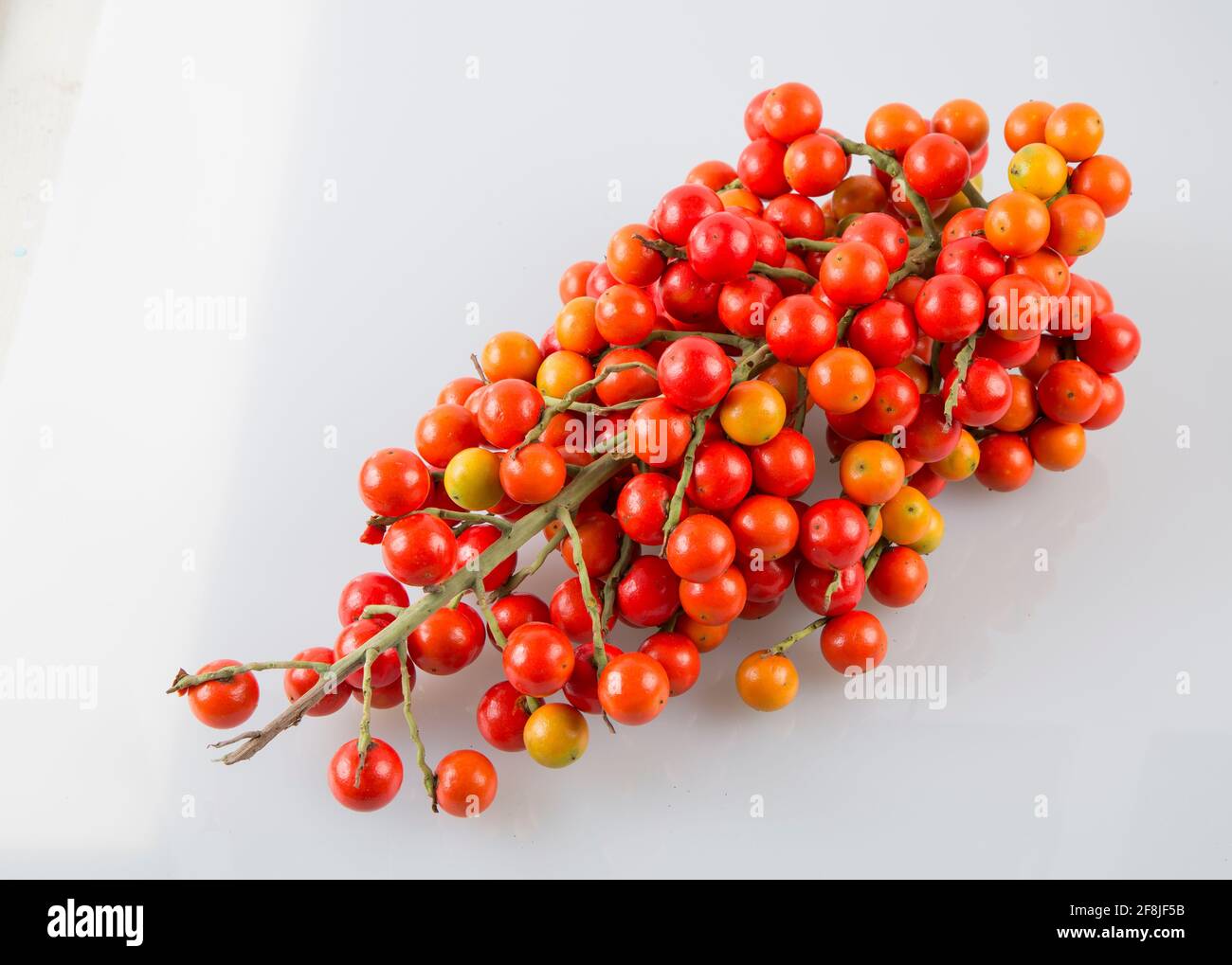 Bactris guineensis hi-res stock photography and images - Alamy