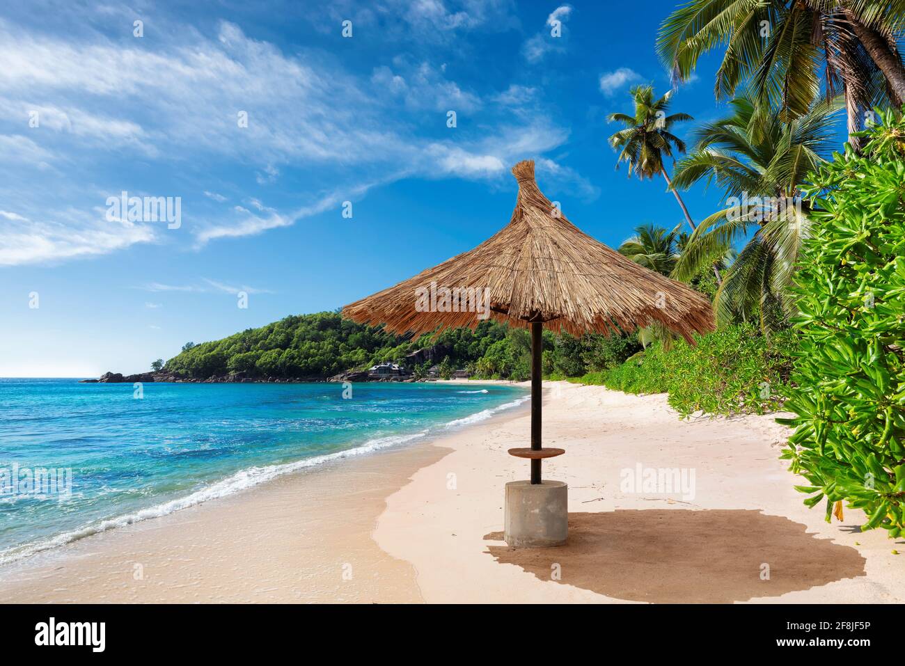 Sunny tropical beach with parasols and palm trees paradise island Stock ...