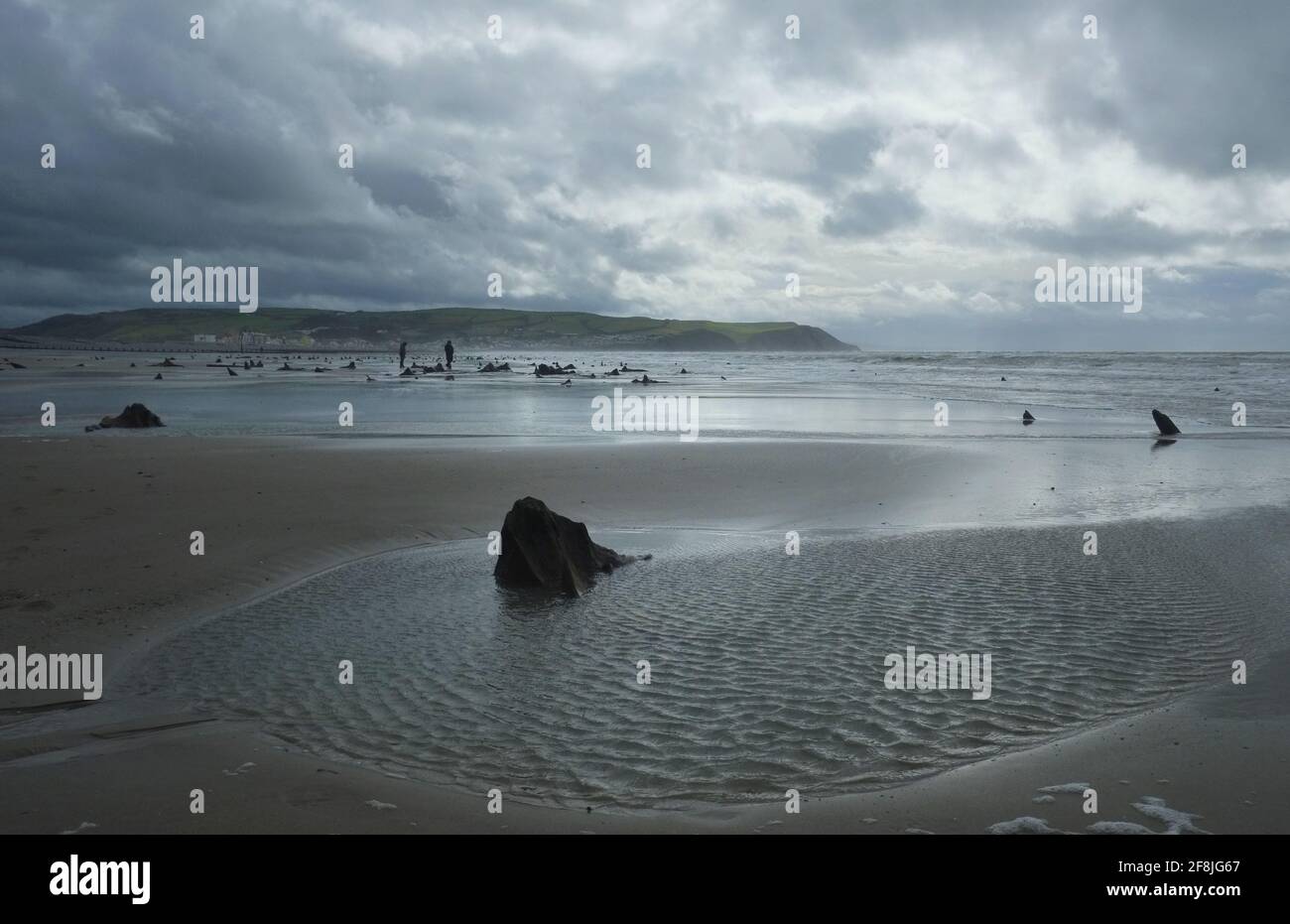 Petrified ancient forest, Borth Beach, Mid Wales at low tide Stock ...