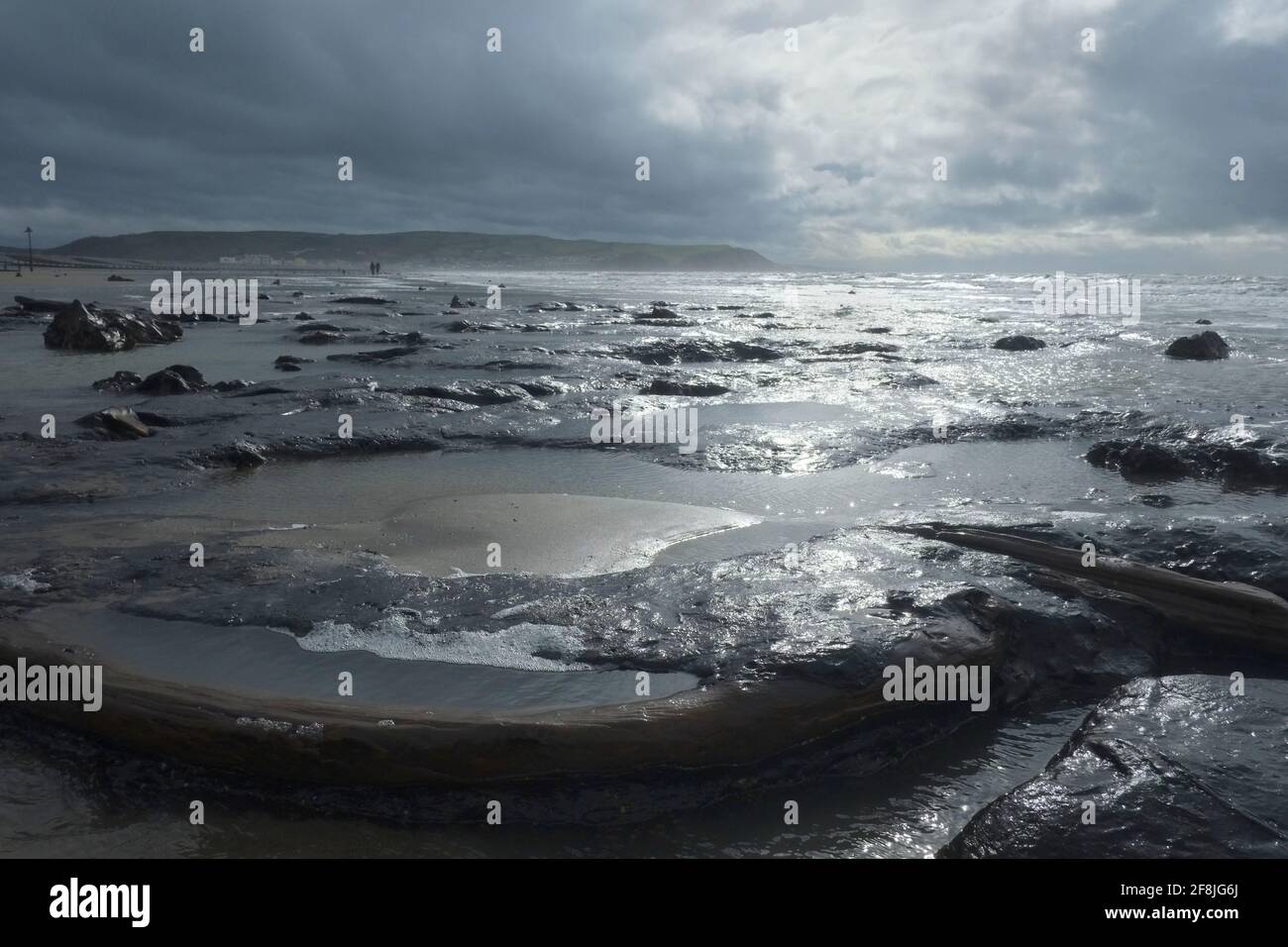 Petrified ancient forest, Borth Beach, Mid Wales at low tide Stock ...