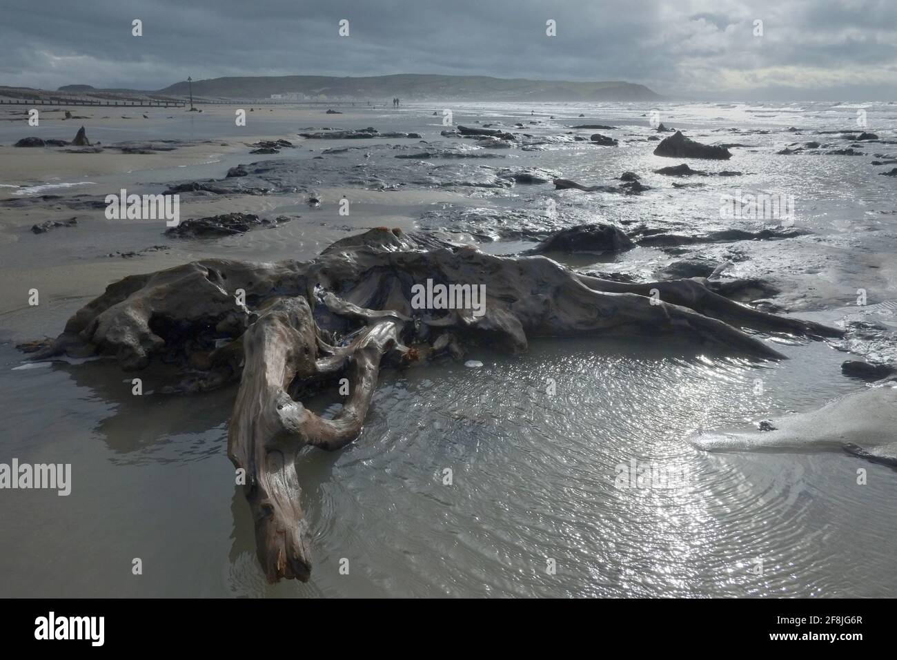 Borth beach stumps hi-res stock photography and images - Alamy