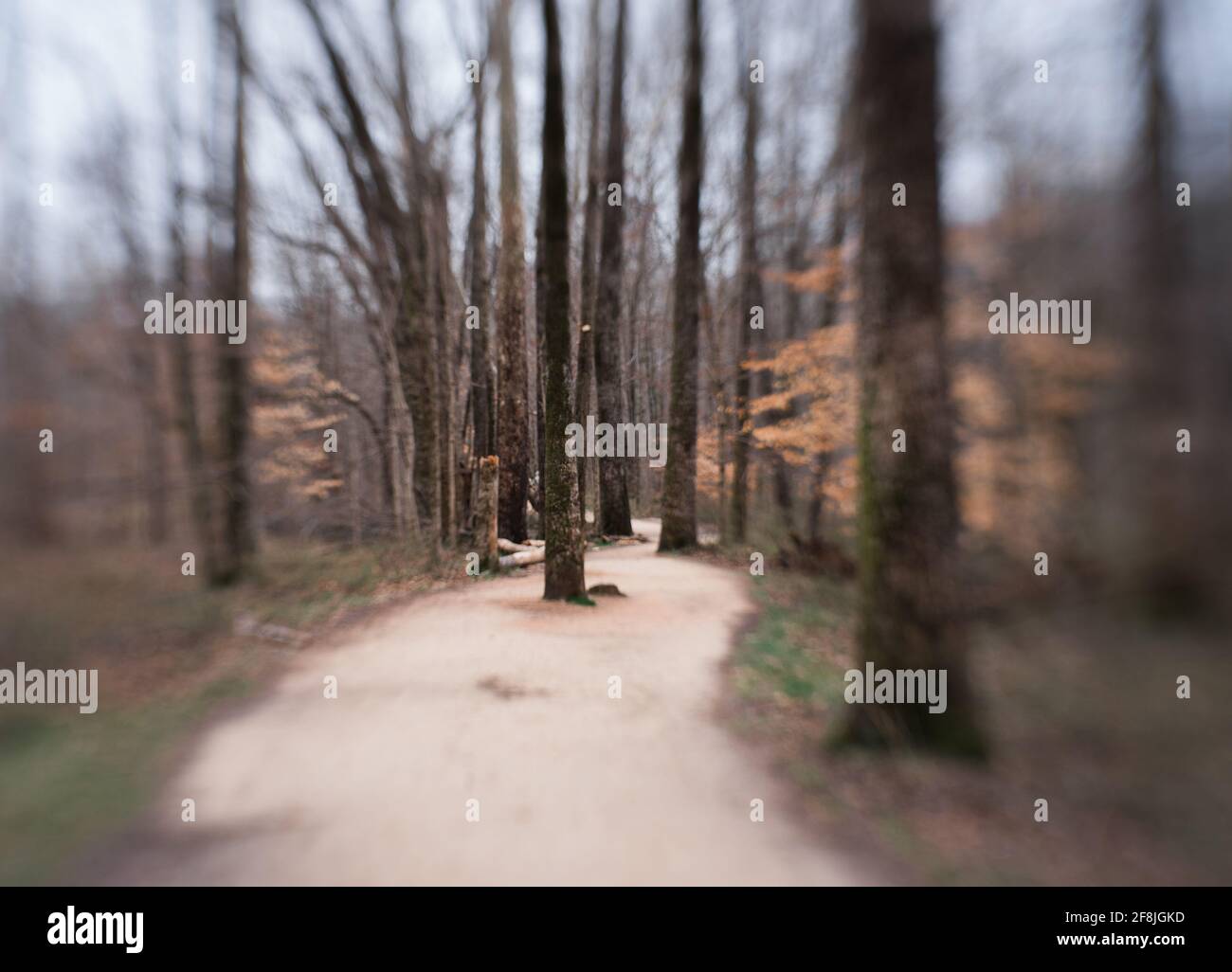 Creative path hi-res stock photography and images - Alamy