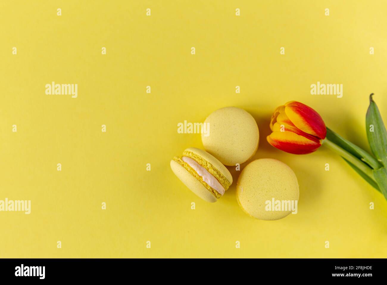 Yellow macarons on a yellow background with a tulip Stock Photo - Alamy