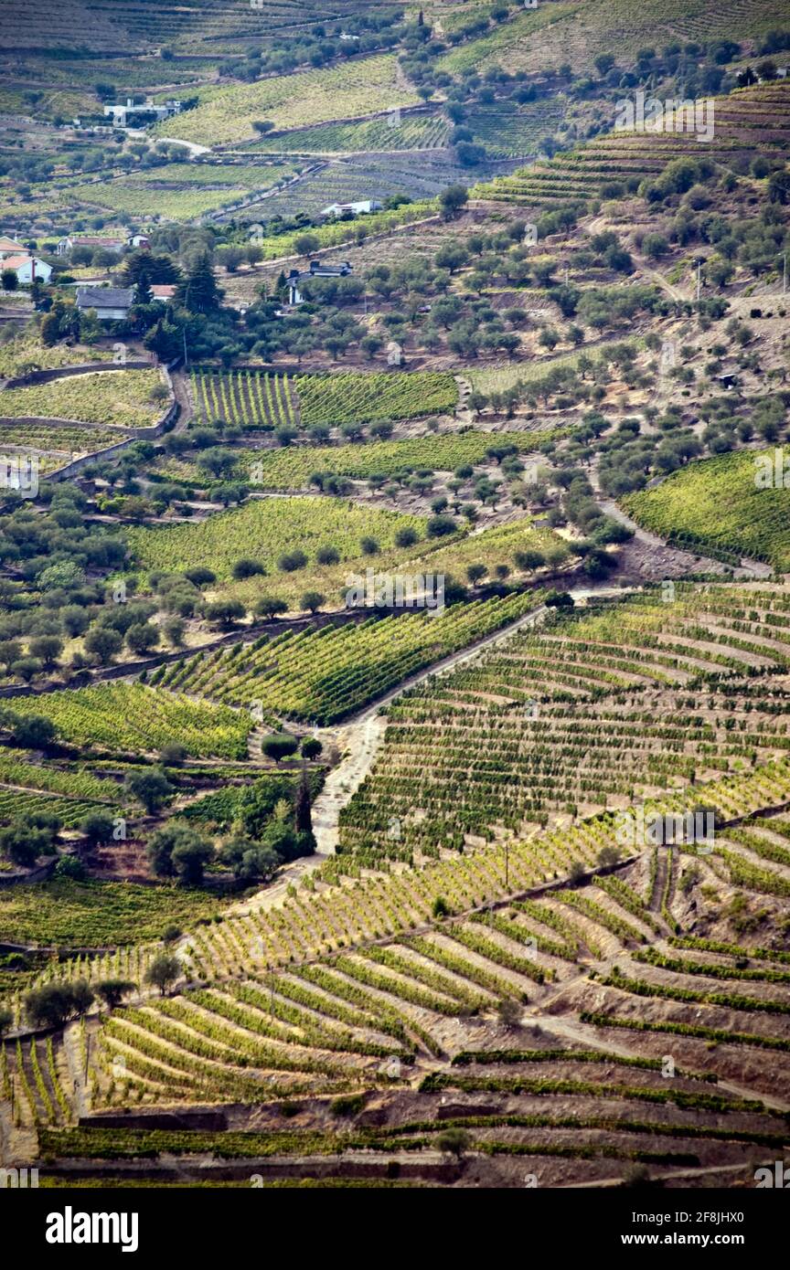 Valley of douro hi-res stock photography and images - Alamy