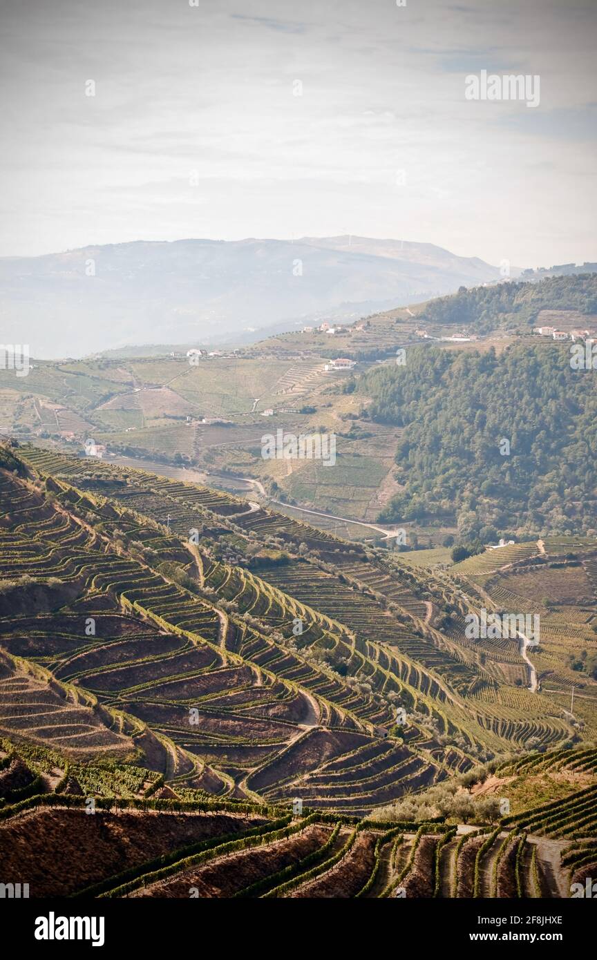 Valley of douro hi-res stock photography and images - Alamy