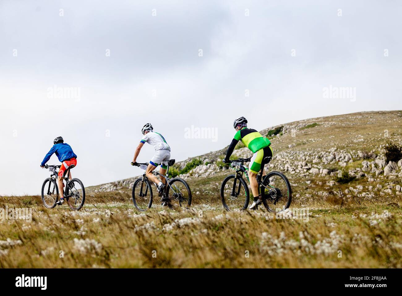 group athletes mountain bikers riding mountain trail race Stock Photo ...