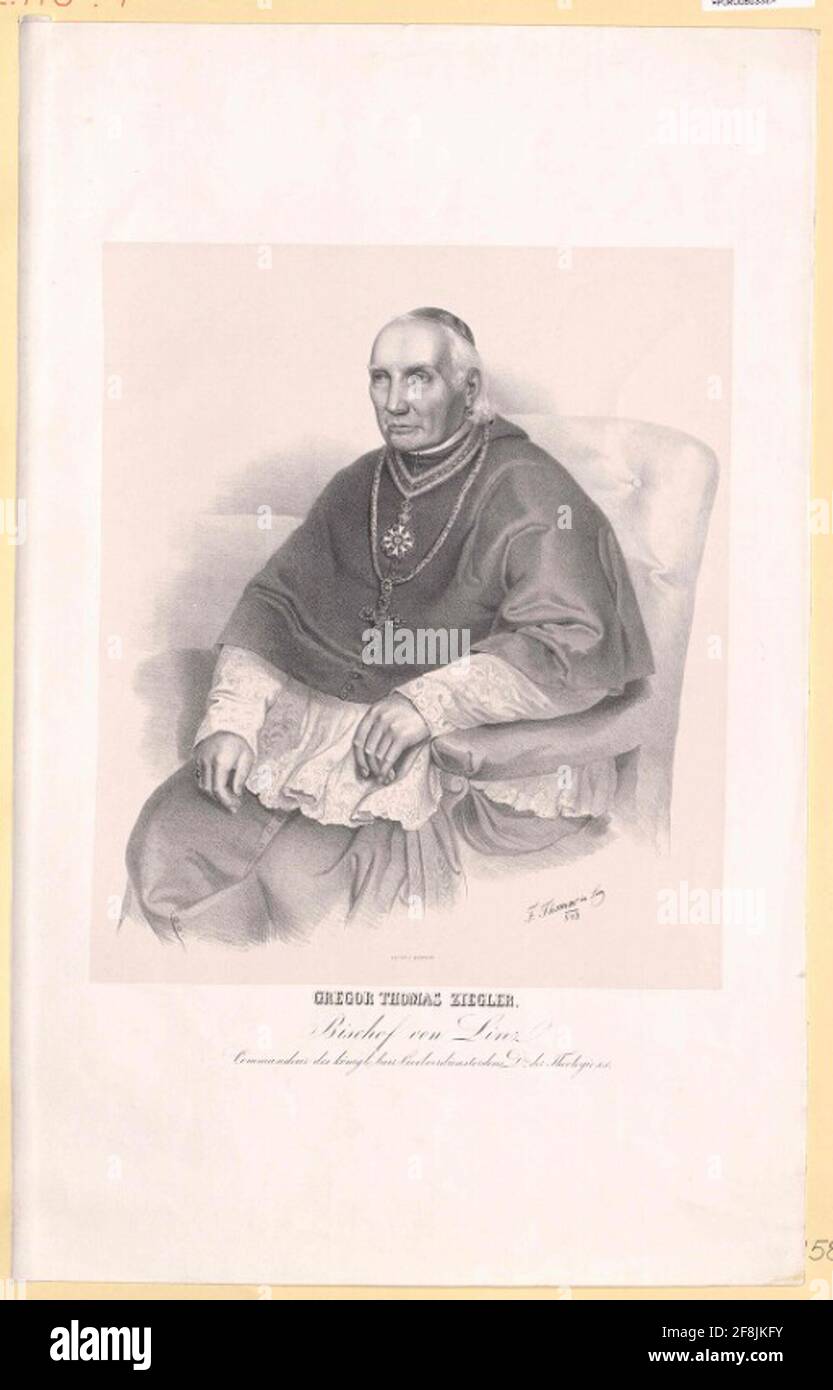 Ziegler, Gregor Thomas Stock Photo - Alamy