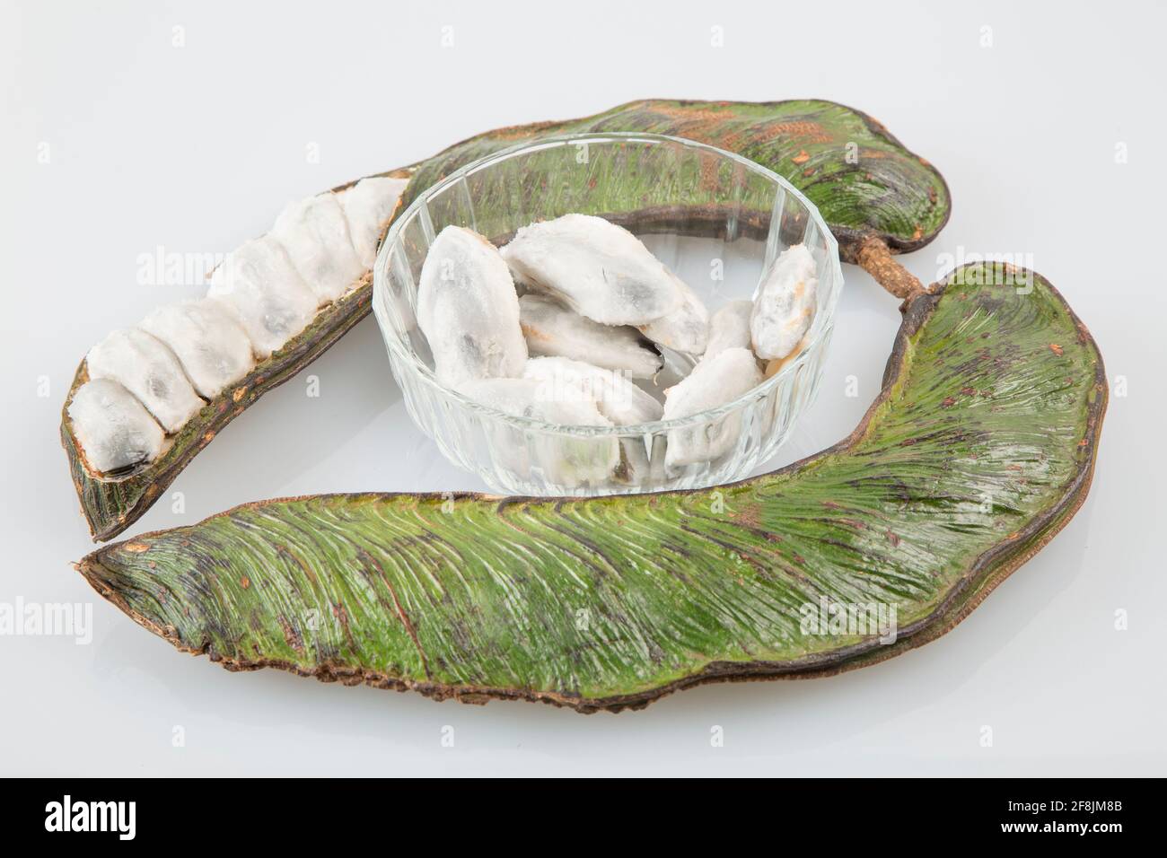 Fresh inga fruit. The guama fruit tropical and exotic from South ...