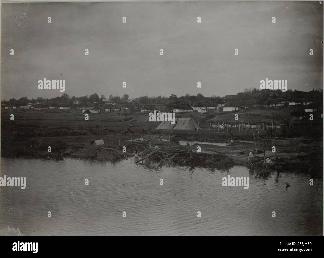 Stypa hi-res stock photography and images - Alamy