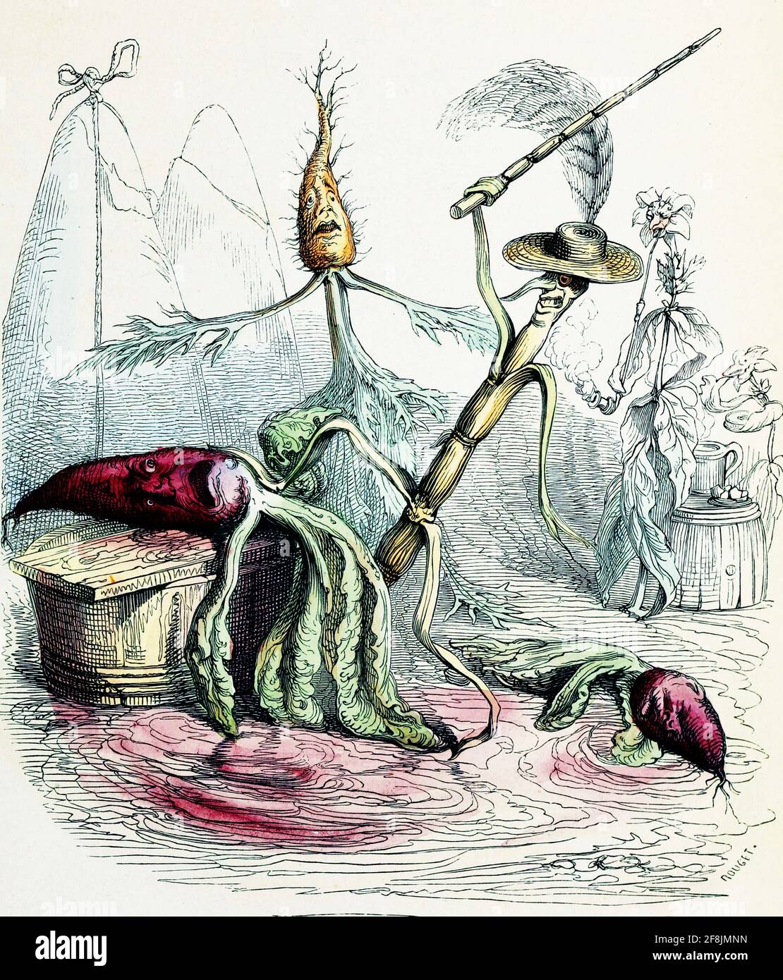 The sugar cane looks to have the upper hand against the beet. The ...