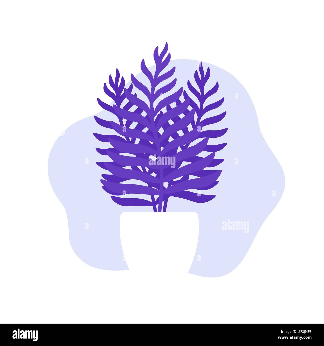 fern plant in pot, floral vector art Stock Vector Image & Art - Alamy