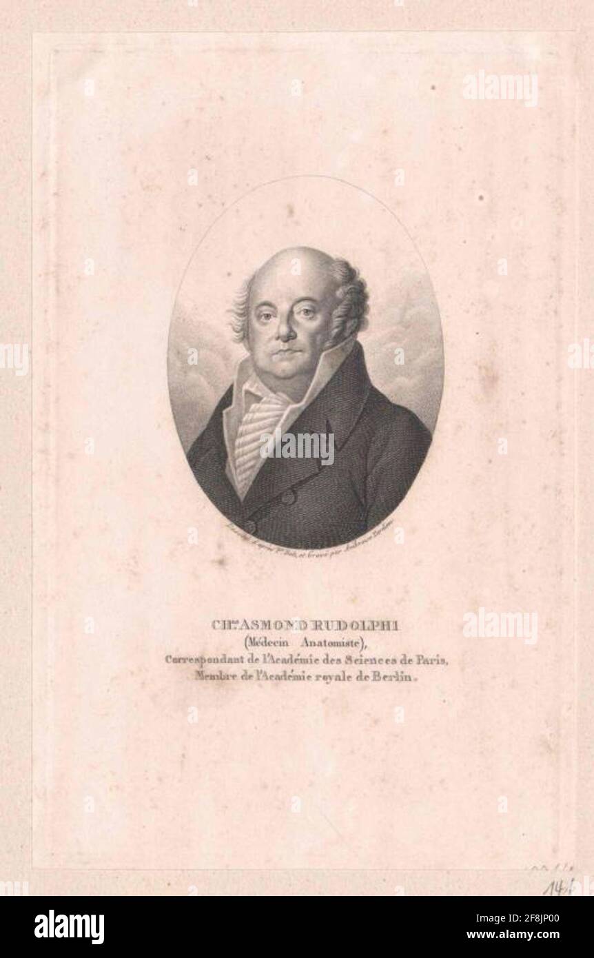 Helminthology hi-res stock photography and images - Alamy