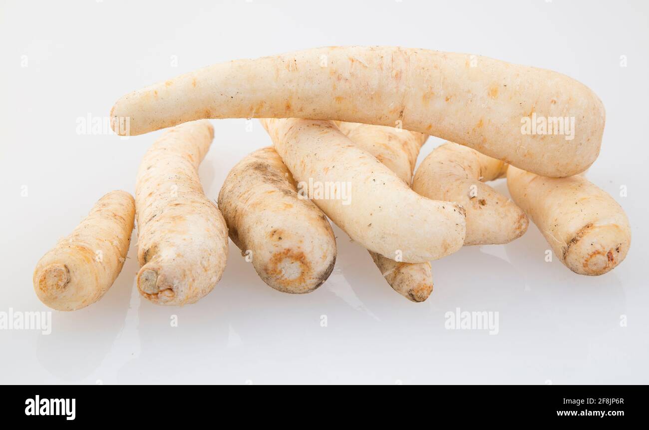 Arracacha - Arracacha - Arracacia xanthorrhiza Stock Photo - Alamy