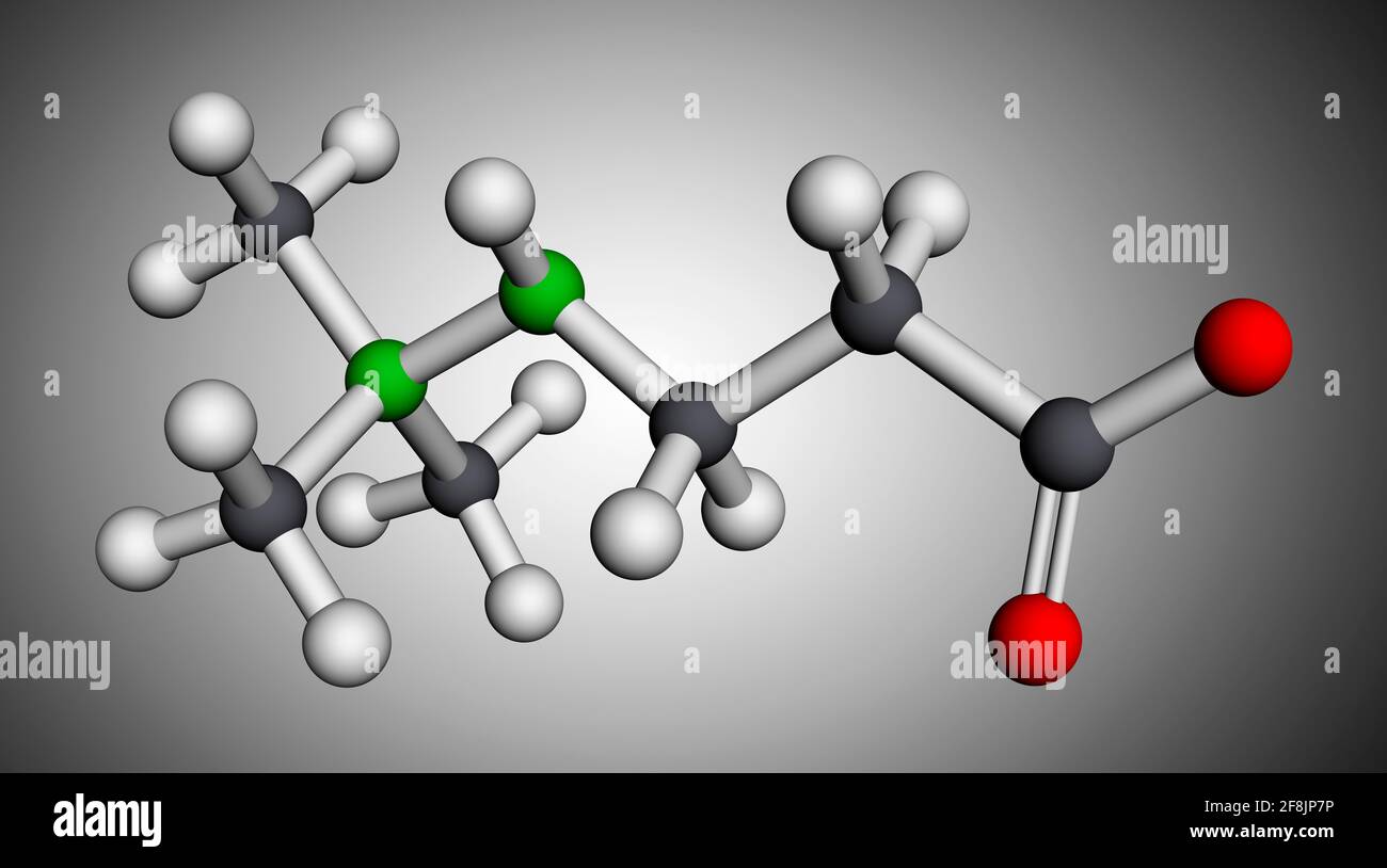 Meldonium molecule. Cardioprotective drug used for treatment of heart ...