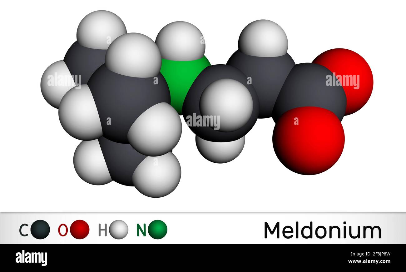 Meldonium molecule. Cardioprotective drug used for treatment of heart ...