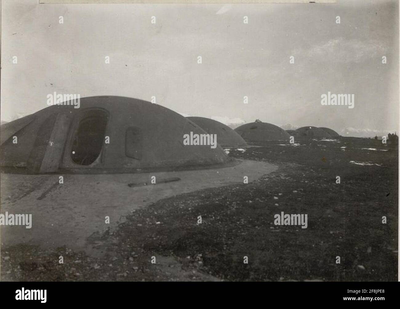 Cima di Campo. The armor soup from the plant Leone Stock Photo - Alamy