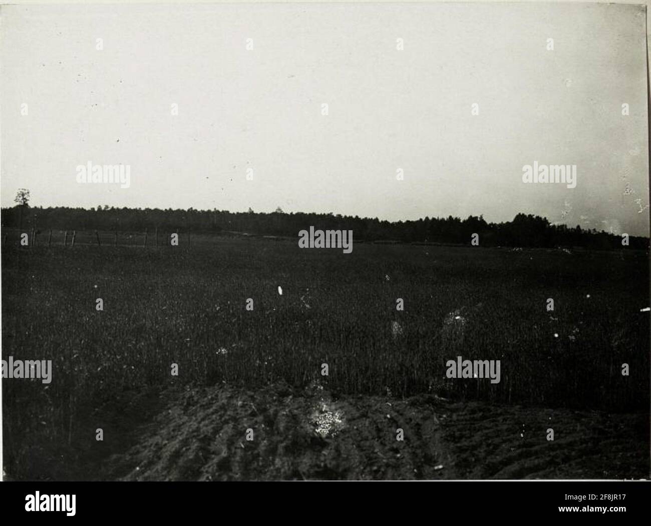 Panorama of covered trenches of own infantry at the edge pressure east ...