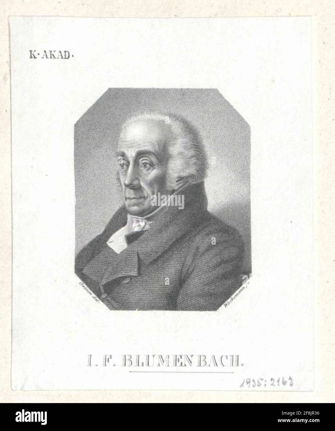 Blumenbach hi-res stock photography and images - Alamy