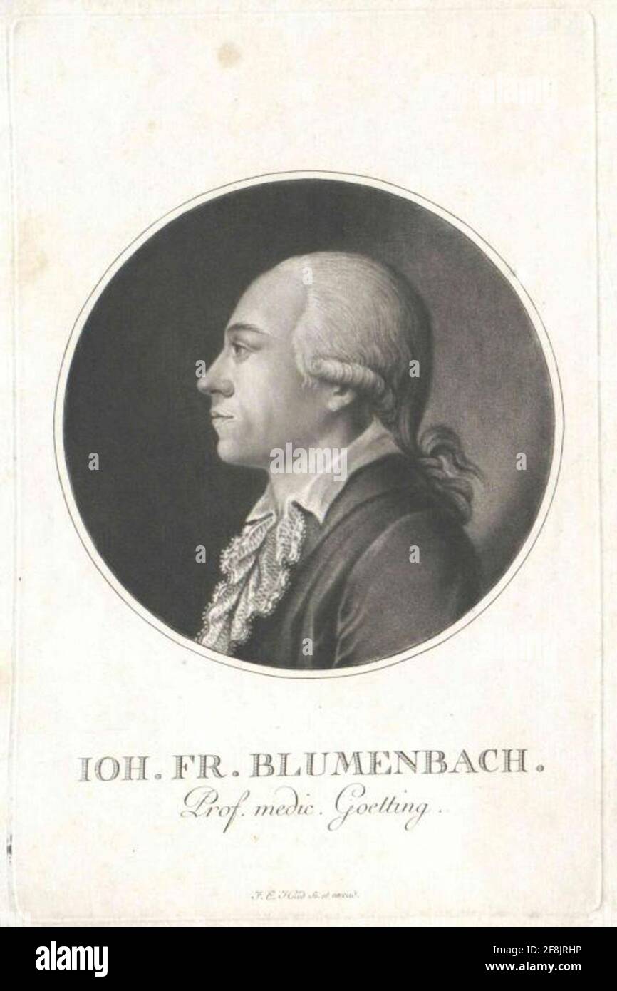 Johann friedrich blumenbach hi-res stock photography and images - Alamy