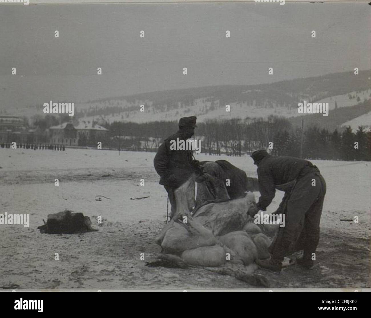 Traditional butchery techniques hi-res stock photography and images - Alamy