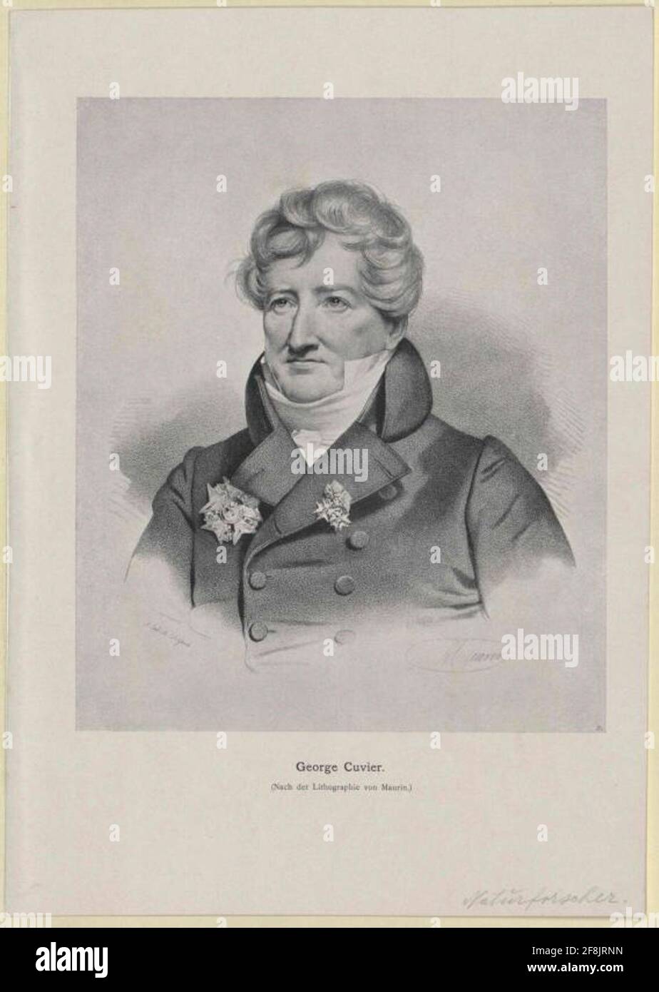 Cuvier, George Stock Photo - Alamy