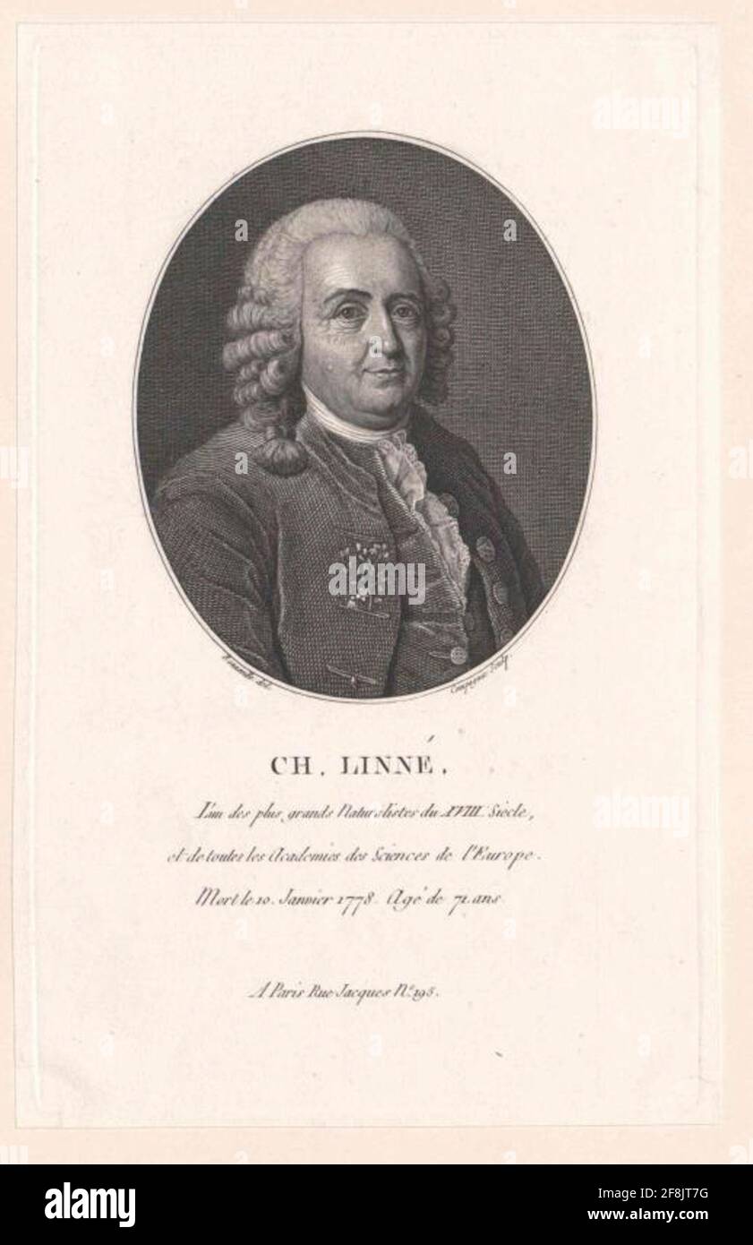 Linné, Charles of Stock Photo - Alamy