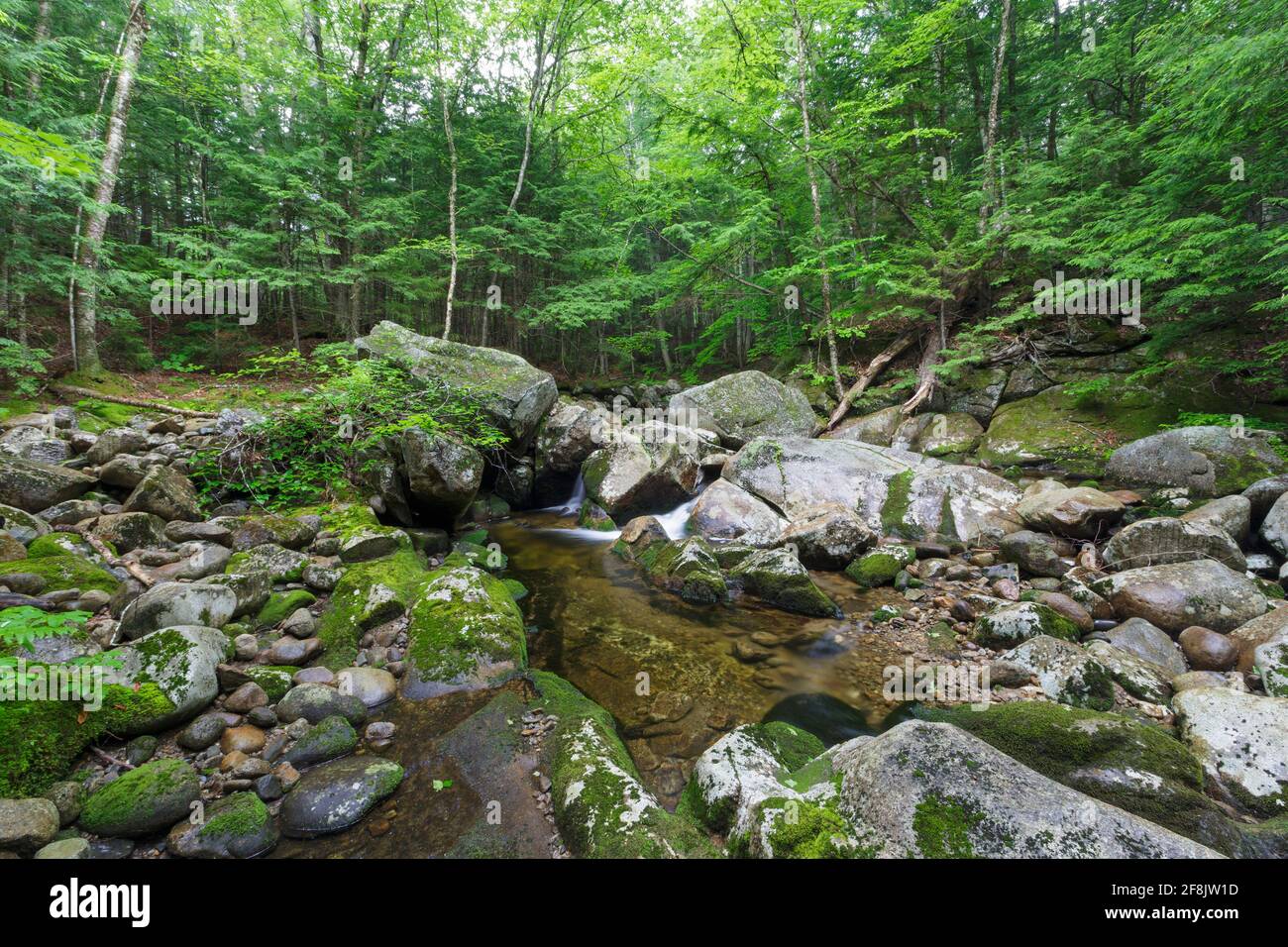 Walker Brook in Woodstock, New Hampshire during the summer months ...